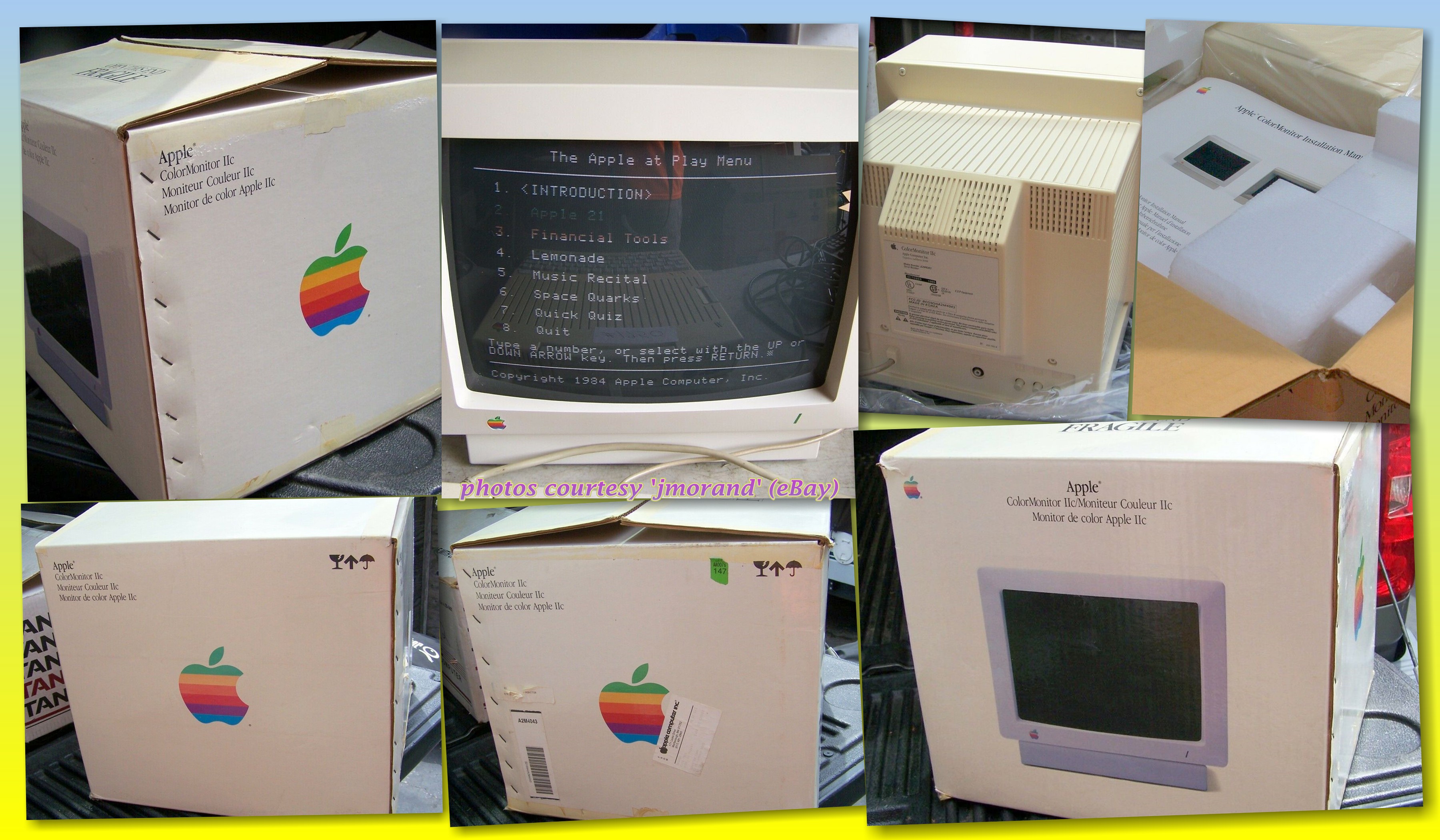 Platinum Apple IIe & AppleColor Monitor - International Varieties