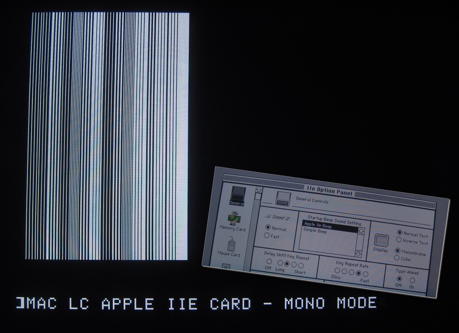 Apple II Vintage Library and Videos